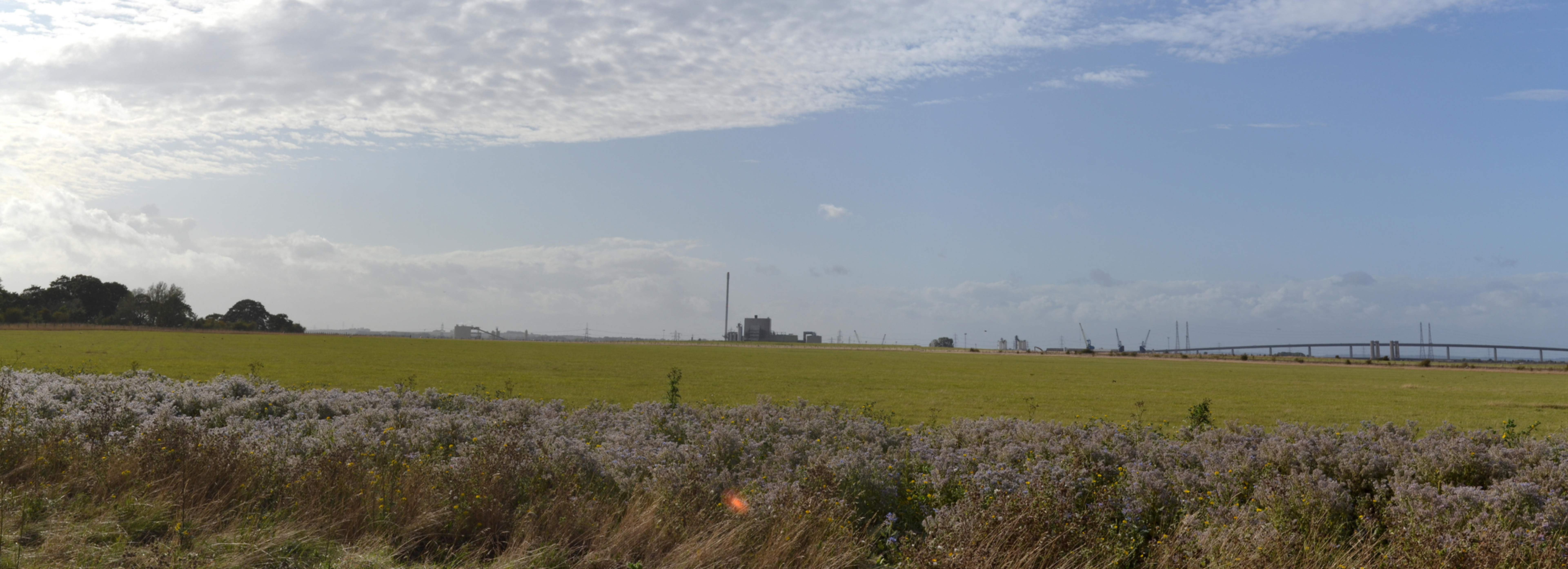 Ridham Recycling Facility, Kent | Corylus Ltd.